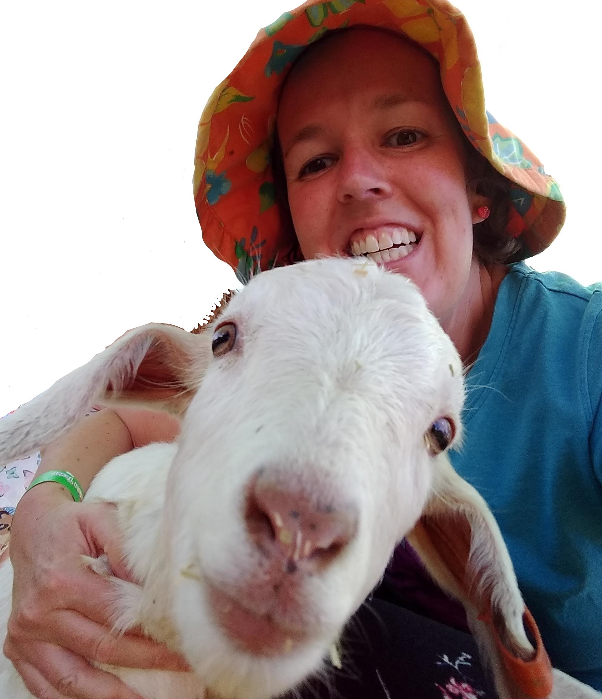 Blog | hm waugh – author | books | fun | science